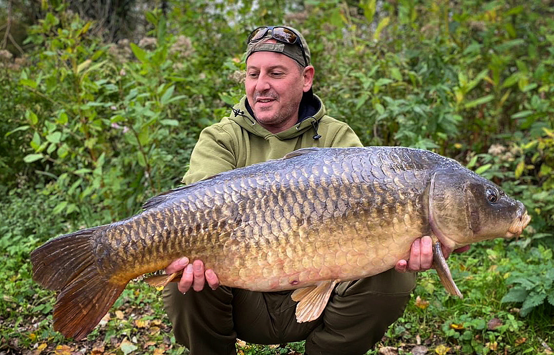 Mint Common | Total Carp